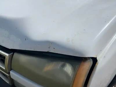 Chevrolet Hood for a 2006 Chevrolet Silverado For Sale | Ucon, ID | 117 ...