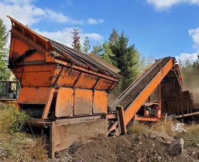 Screening Plants For Sale | MyLittleSalesman.com