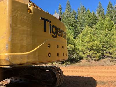 2021 Tigercat 875 Logging Processor - Waratah HTH623C Processor For ...
