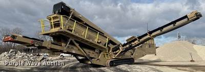 Screening Plants For Sale | MyLittleSalesman.com