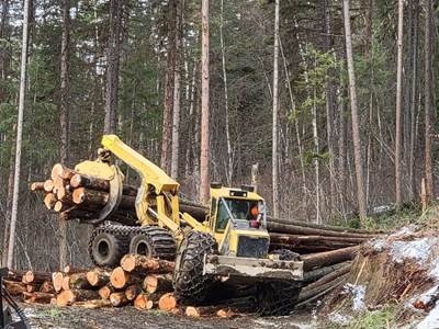 Skidders For Sale - ARE Equipment