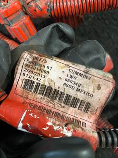 Cummins ISX15 Engine Wiring Harness For Sale | Hialeah, FL | 3688775 ...