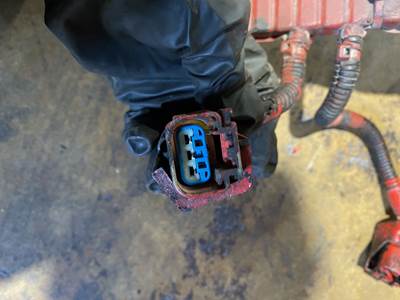 Cummins ISL Wiring Harness For Sale | Hialeah, FL | 5263085 ...