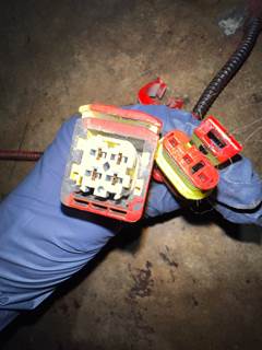 Cummins X15 Wiring Harness For Sale | Hialeah, FL | 5484117 ...