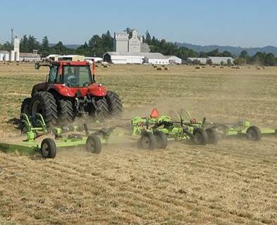 2022 Schulte FX742 Rotary Cutter For Sale | Zearing, IA | 11112981 ...