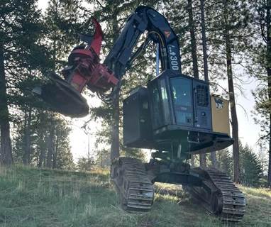 Caterpillar 522B Feller Bunchers For Sale | MyLittleSalesman.com