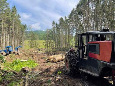 Forestry / Tree Harvesters For Sale | MyLittleSalesman.com