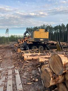 2014 Tigercat 234 Log Loader - Delimber For Sale - Blowing Rock, NC ...
