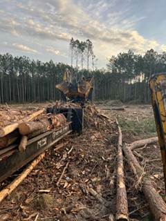 2014 Tigercat 234 Log Loader - Delimber For Sale | South, NC | 11560259 ...