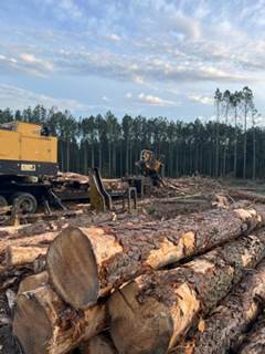 2014 Tigercat 234 Log Loader - Delimber For Sale | South, NC | 11560259 ...
