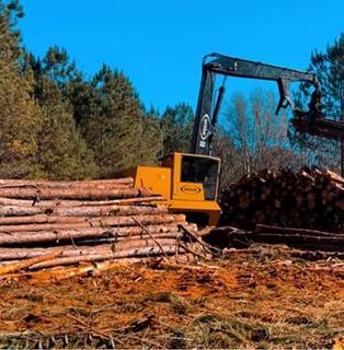 Log Loaders For Sale | MyLittleSalesman.com | Page 8