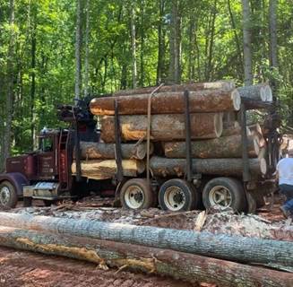 1987 Western Star Logging Truck - Barko 80 Log Loader For Sale ...