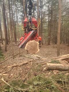 2016 TimberPro TF830C Logging Processor For Sale, 10,500 Hours ...