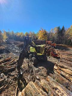2016 TimberPro TF830C Logging Processor For Sale, 10,500 Hours ...