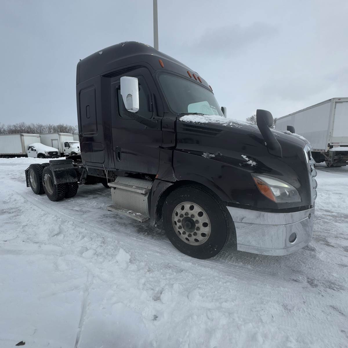 2019 Freightliner Cascadia 126 Sleeper Semi Truck - 48" Flat Top ...