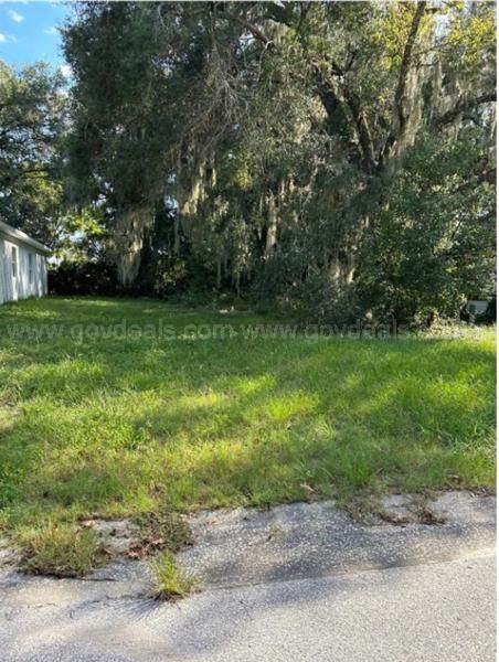 Residential Real Estate Parcel in Florida For Sale | Deland, FL | 25235 ...