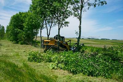 2025 Loftness TIMBER AX Forestry Mulcher For Sale | Henderson, IA ...