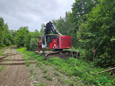 Feller Bunchers For Sale | NEF Equipment