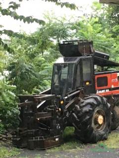 Feller Bunchers For Sale | NEF Equipment