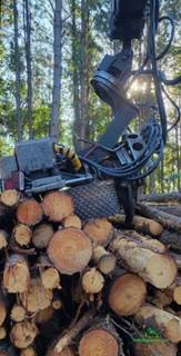 2006 Timbco 425EXL Logging Processor - Log Max 7000 Processor For Sale ...