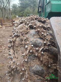 2004 Timberjack 360 Skidder For Sale, 4,900 Hours | Blakeslee, PA ...