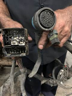 Engine Wiring Harnesses For Sale | MyLittleSalesman.com