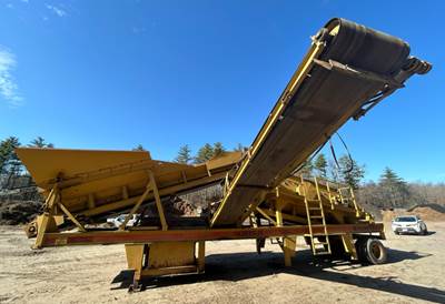 Screening Plants For Sale | MyLittleSalesman.com