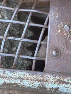 1981 Universal 546PS Jaw Crusher For Sale | Midwest, IN | 13180174 ...