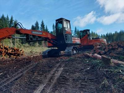 2017 Doosan DX300 Log Loader For Sale, 6,500 Hours | Pacific Northwest ...