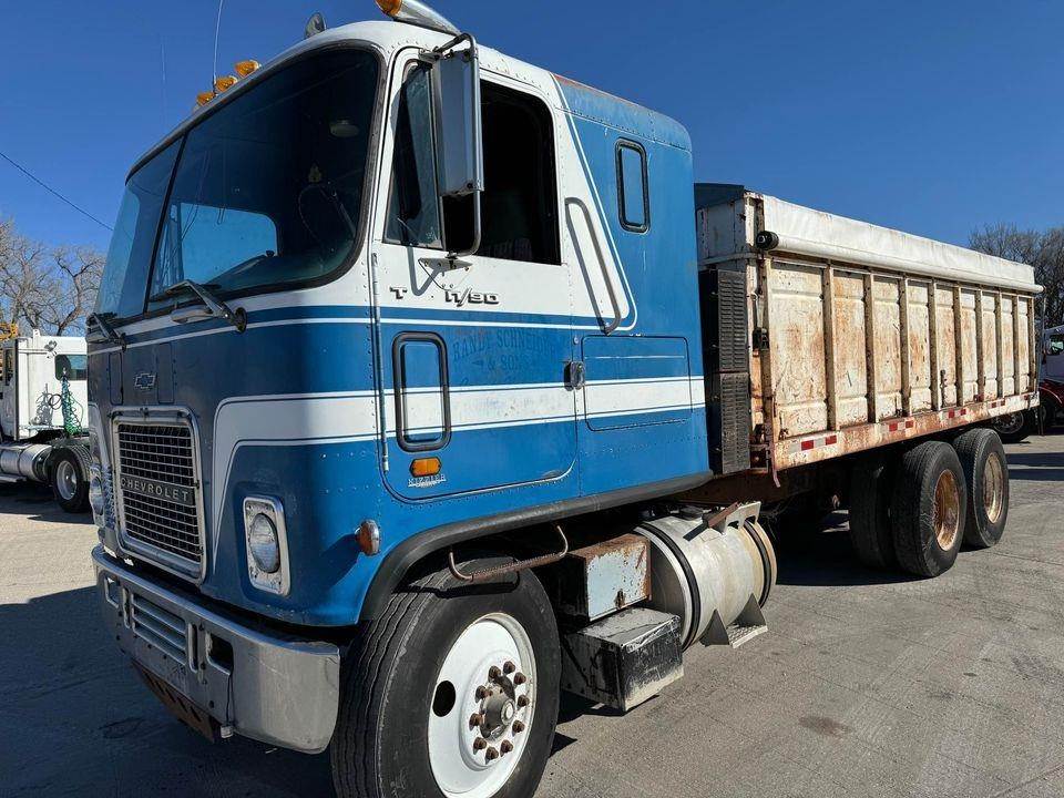 1982 Chevrolet TITAN/90 Farm / Grain Truck For Sale | Saint Edward, NE ...